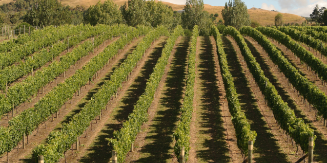 Experience Hawke’s Bay: A Guide for Immigrants to New Zealand